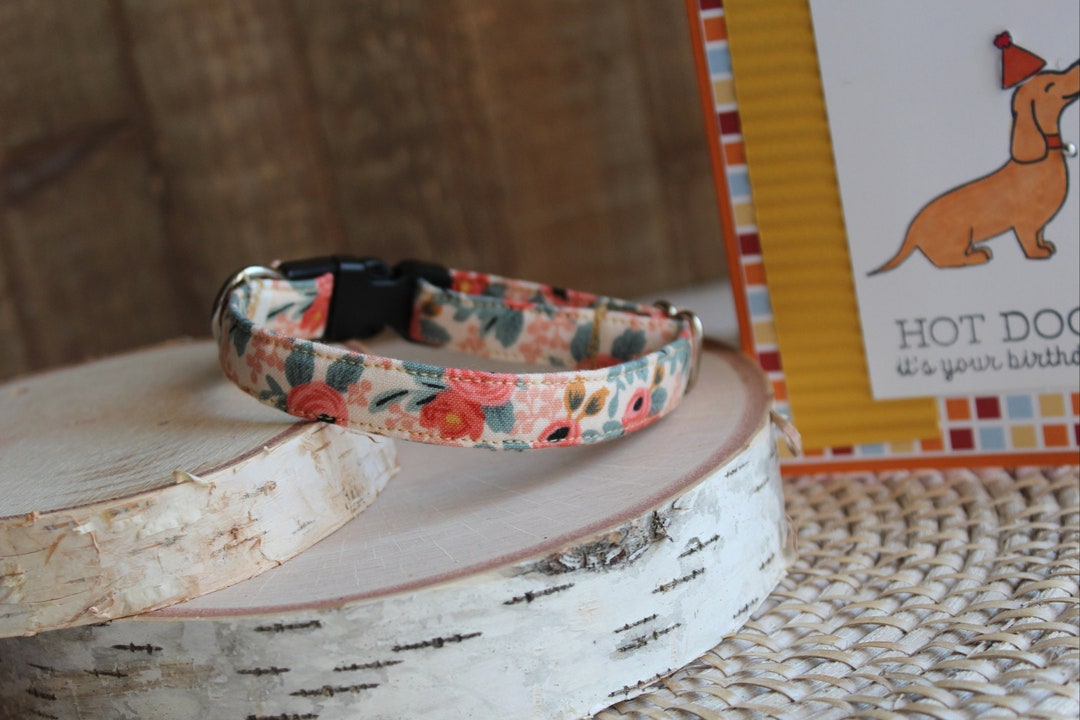 Rifle Paper Dog Collar, 1/2" Dog Collar, Floral Dog Collar, Puppy ...