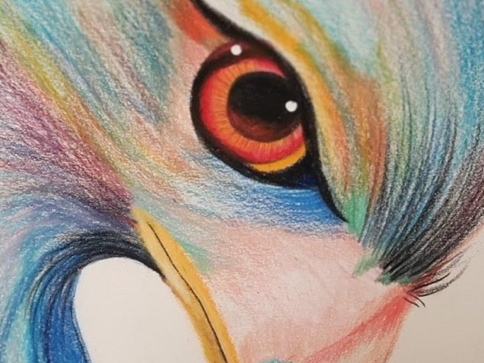 Original Color Pencil Drawing/american Bald Eagle Sketch/grandparent ...