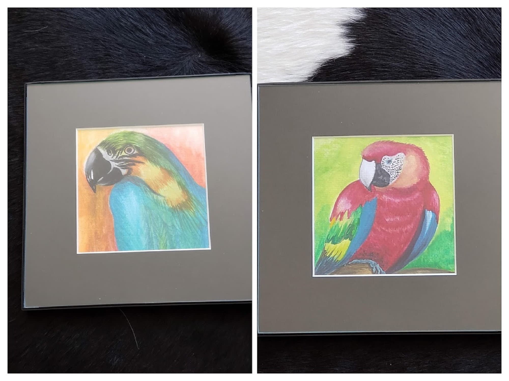 Original Color Pencil Drawing/american Bald Eagle Sketch/grandparent ...