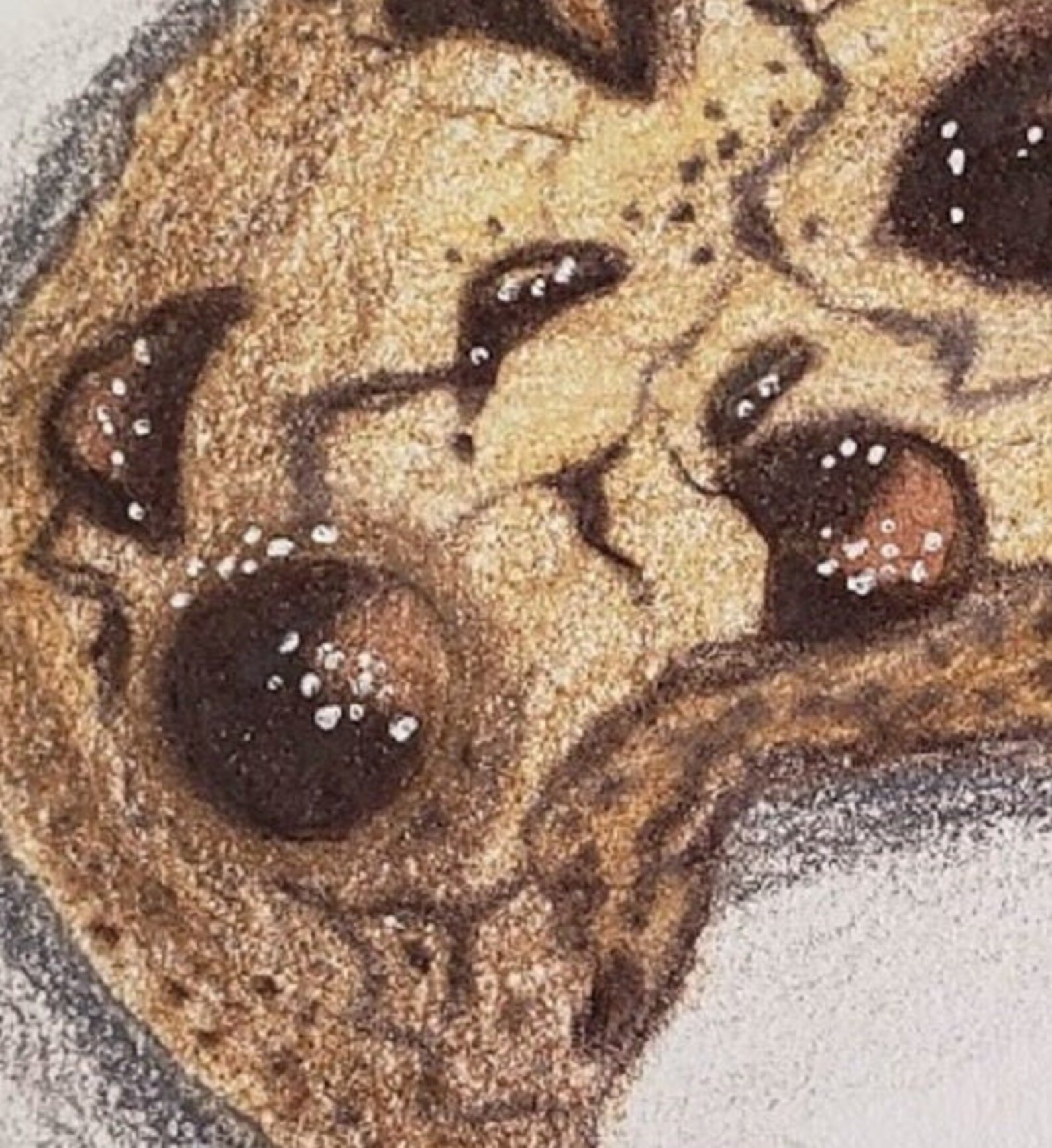 Hyper Realistic Drawing of Chocolate Chip Cookie original Colored ...