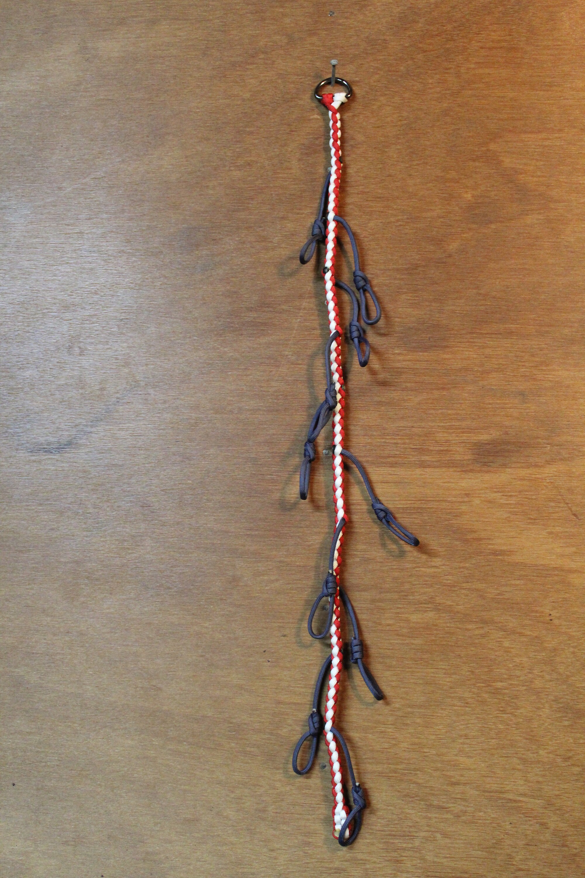 Paracord Turkey Beard Display (red, White and Blue With Loops) - Etsy