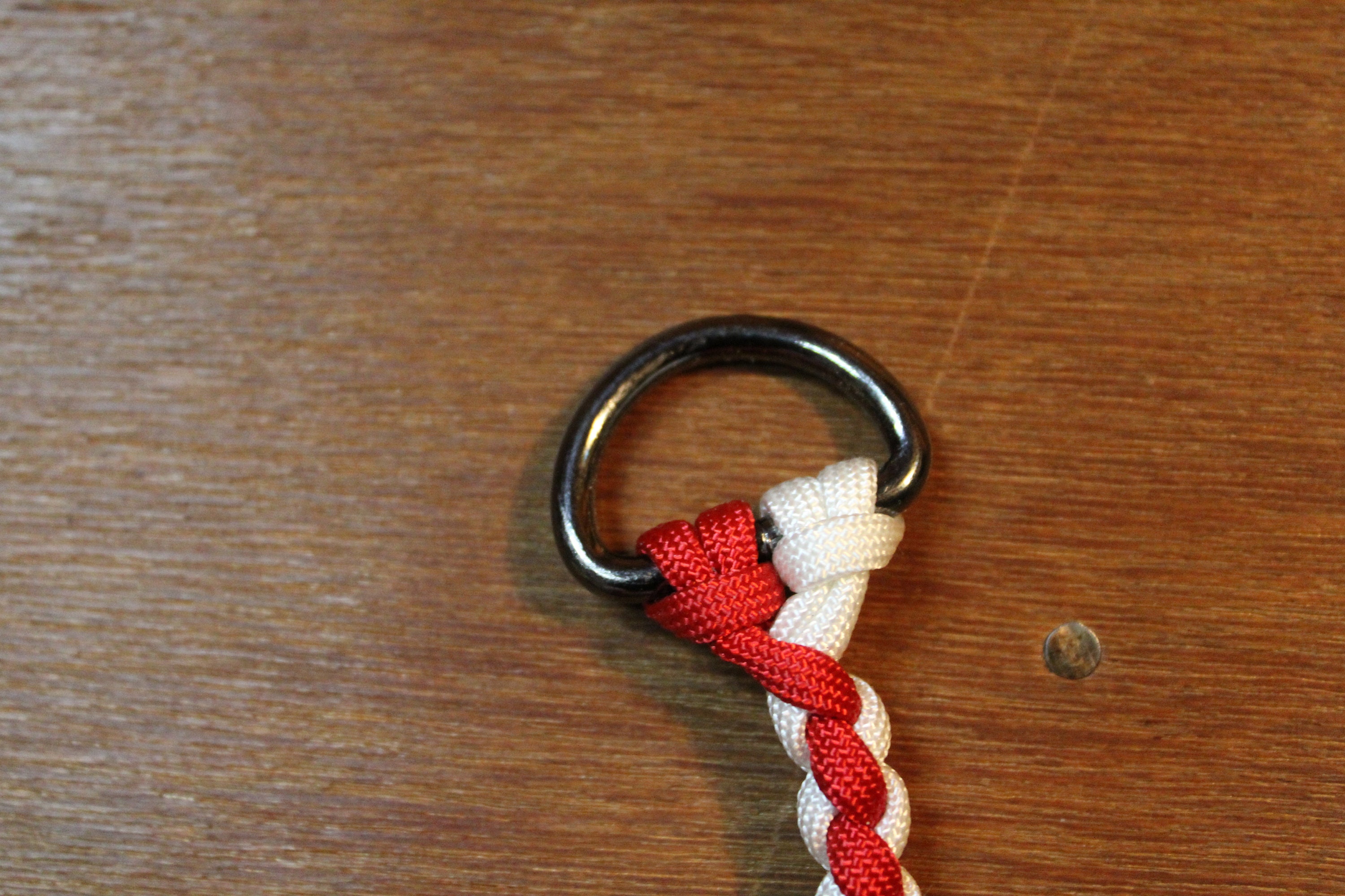 Paracord Turkey Beard Display (red, White and Blue With Loops) - Etsy