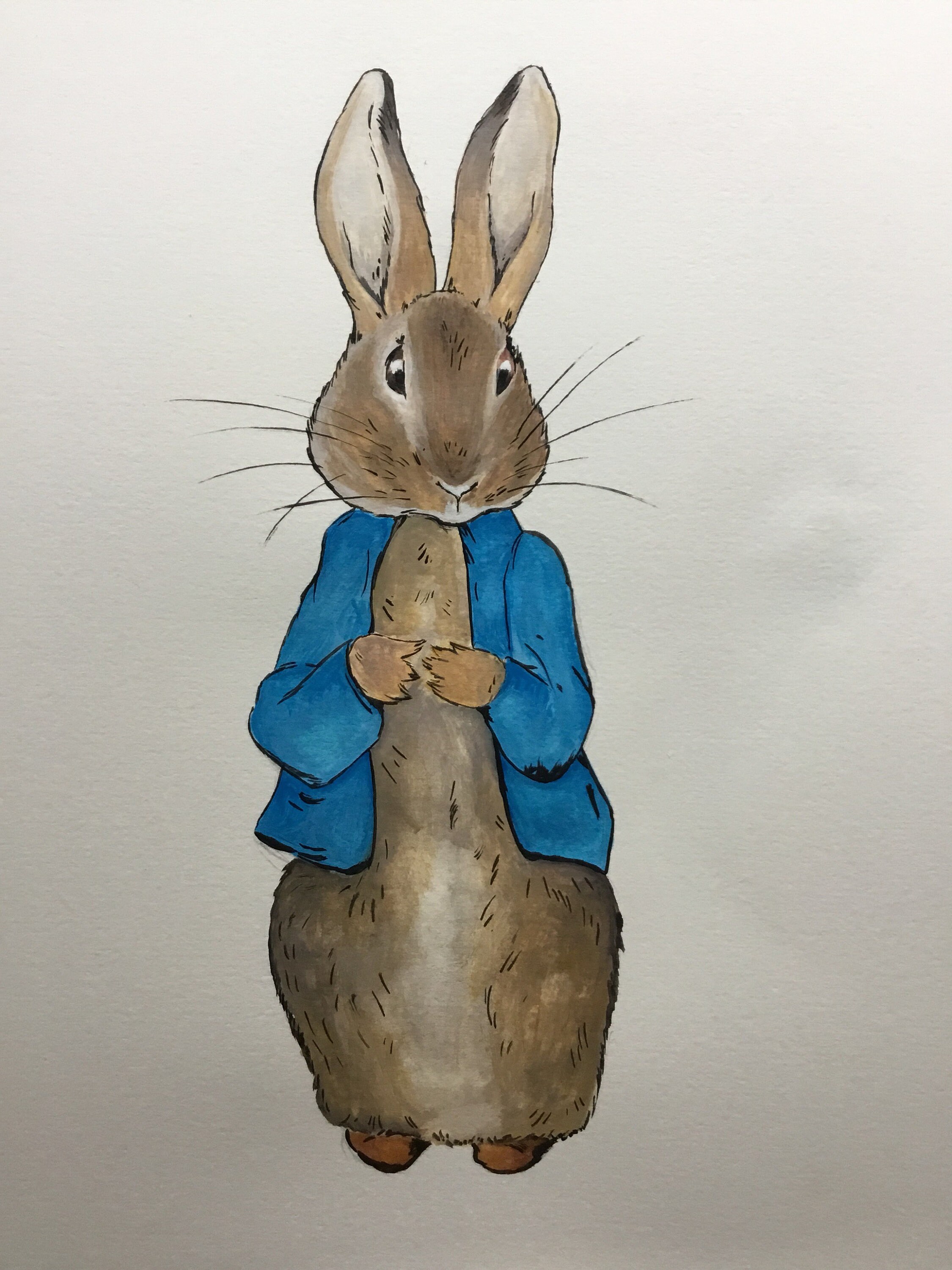 Peter Rabbit A4 - Etsy