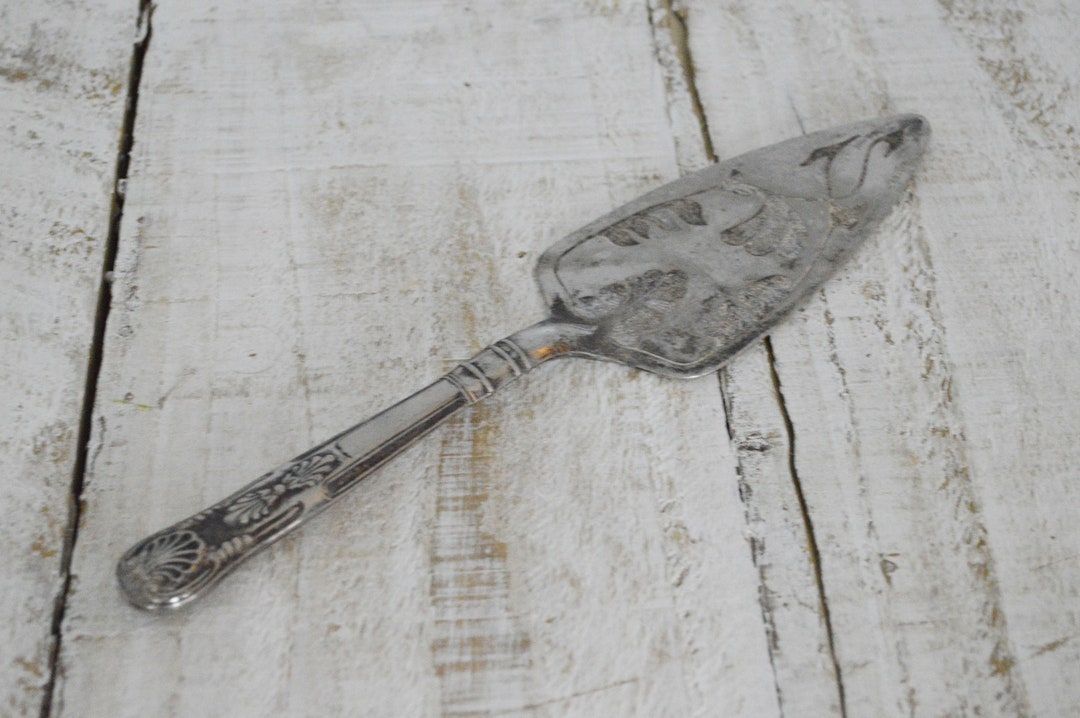 Mayell Stylish Cake Slice/server.made in England.ep on Zinc. Shiny ...