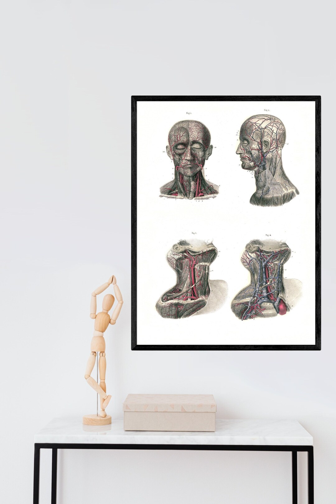 Vintage Antique Human Anatomy Print 19th Century Wall Decoration ...