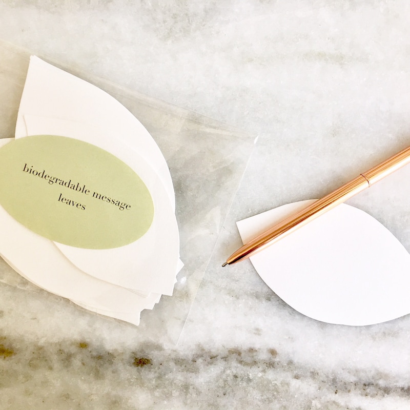 Scatter Ashes at Sea - Etsy