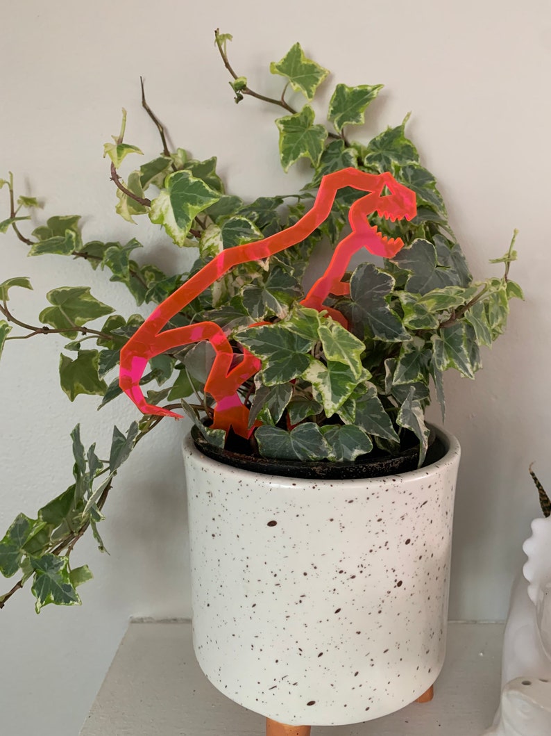 T-rex Dino Plant Buddy | Dinosaur Indoor Plant Trellis | Plant ...
