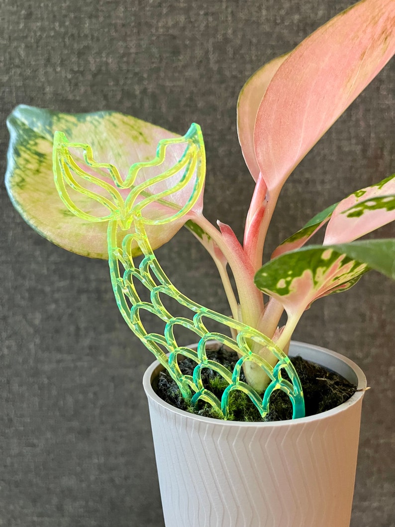 Enchanting Mermaid Tail Indoor Plant Trellis | Neon Plant Buddy | Plant ...