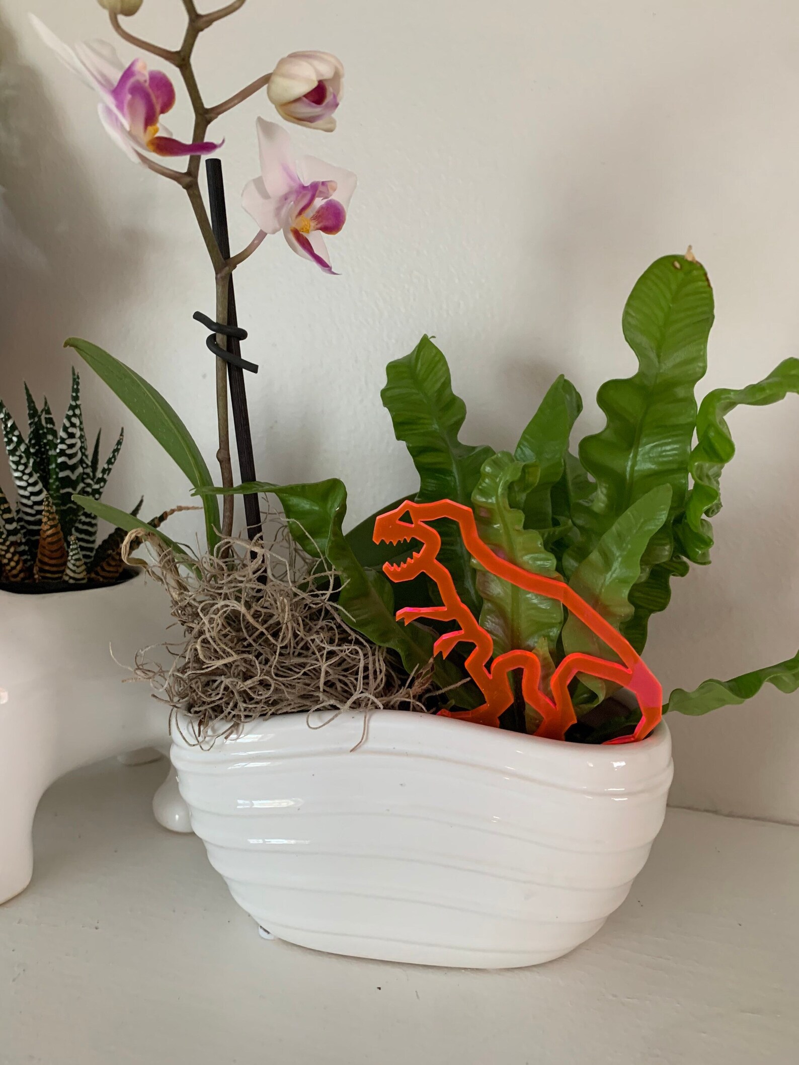 T-rex Dino Plant Buddy | Dinosaur Indoor Plant Trellis | Plant ...