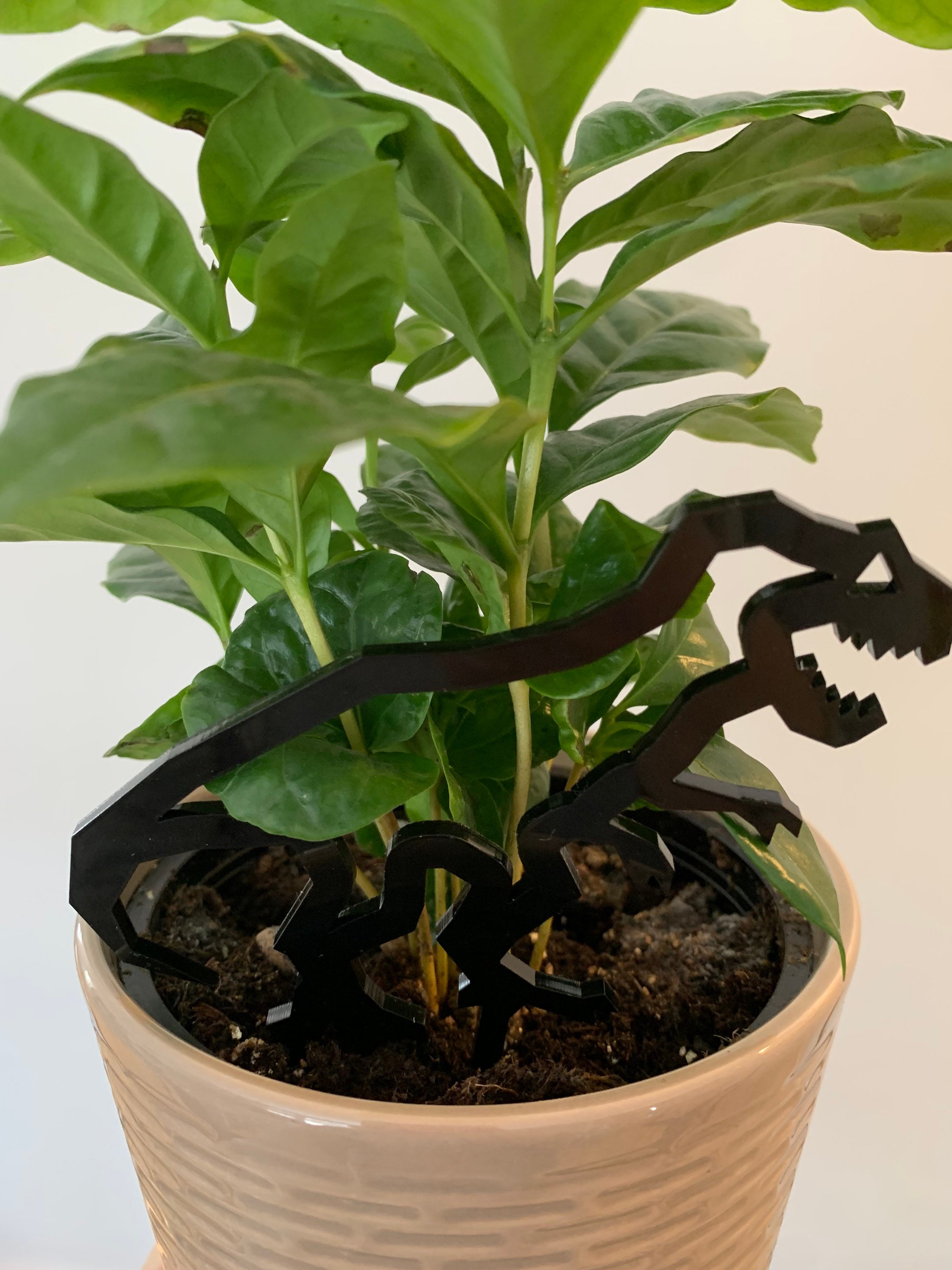 T-rex Dino Plant Buddy | Dinosaur Indoor Plant Trellis | Plant ...