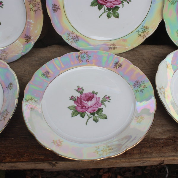 Kahla Dinner Plate Vintage - Etsy
