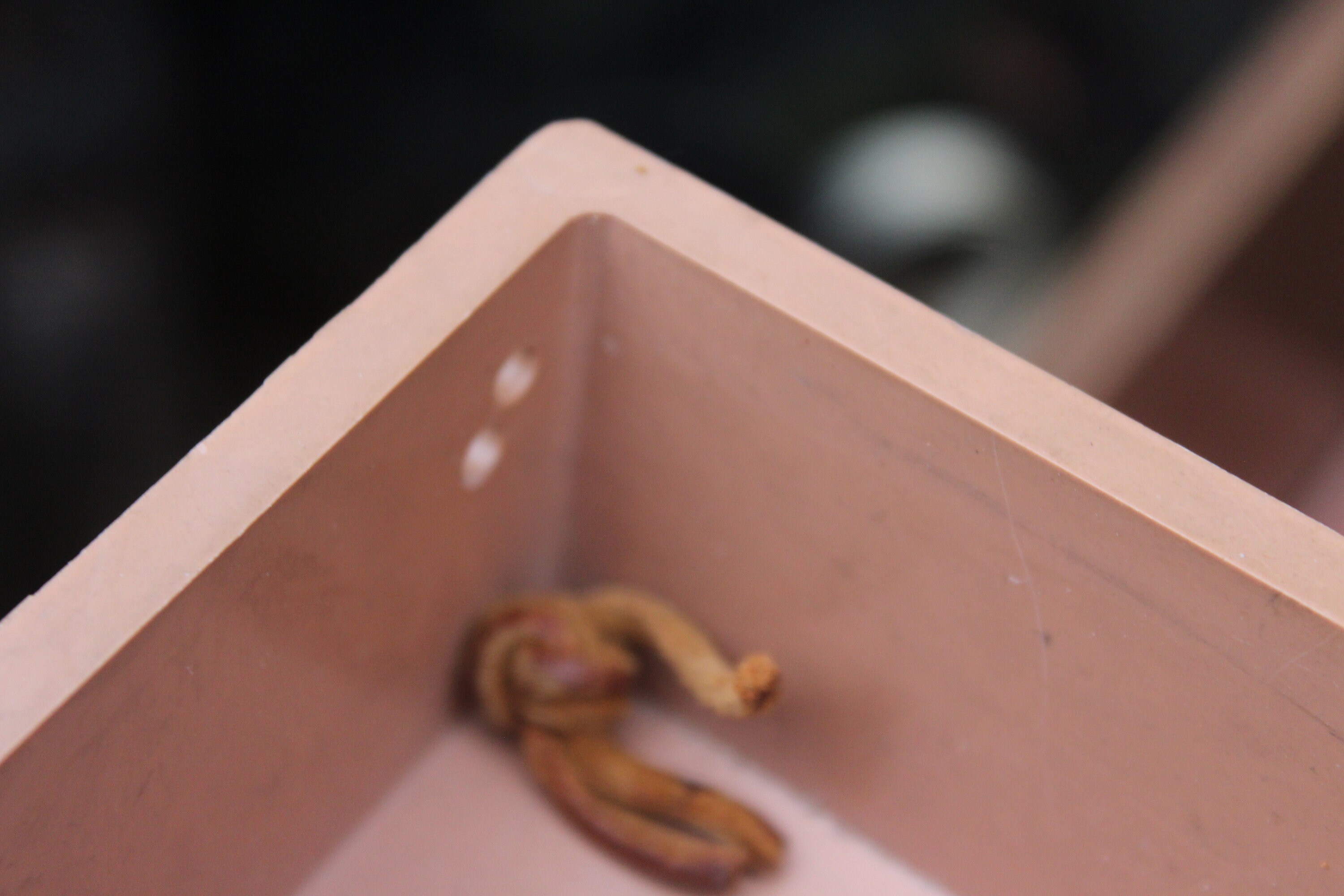 Sewing box sewing cabinet sewing box sewing table Midcentury | Etsy