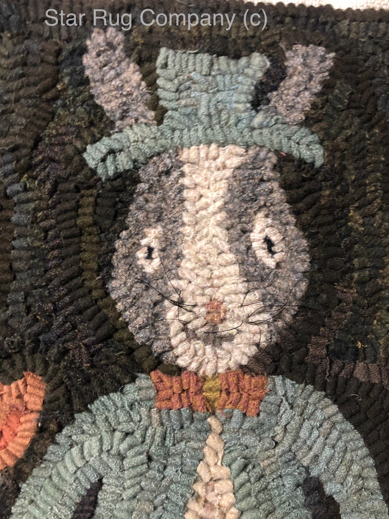 Star Rug Company Mister Whiskers Rug Hooking Pattern - Etsy