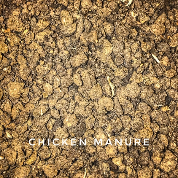 Chicken Manure - Etsy