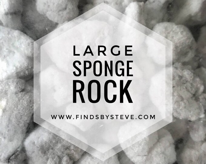 Large Sponge Rock (perlite) - Orchids - Etsy