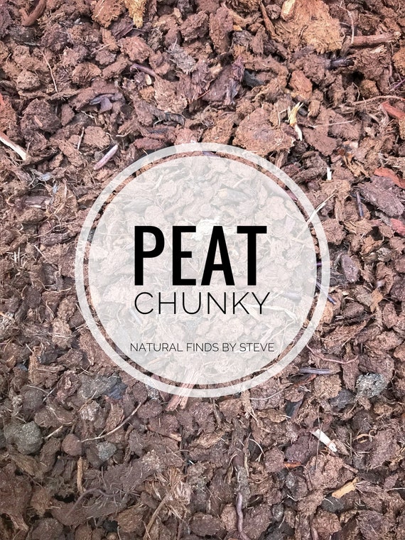 Peat chunky Perfect for Orchids | Etsy