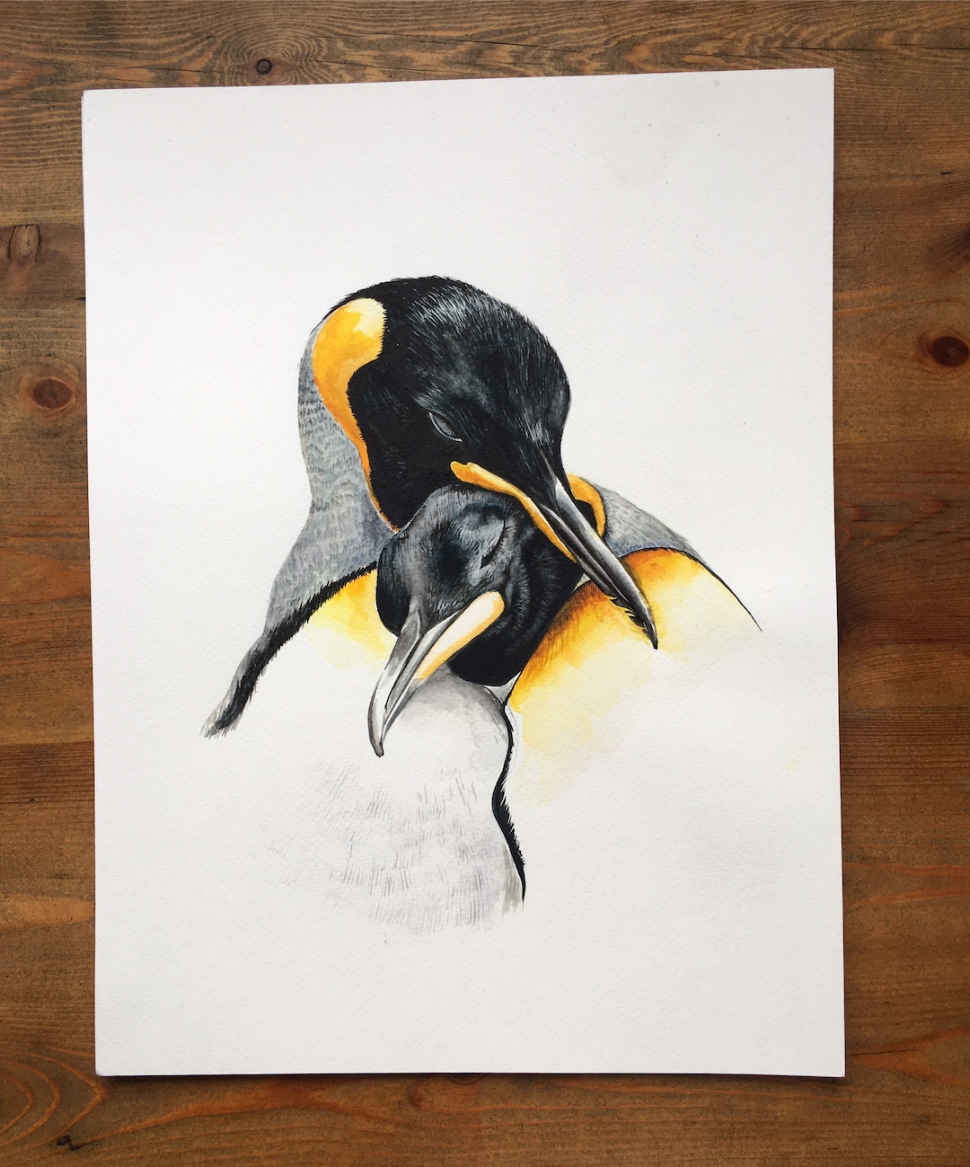 Peaceful as a Penguin Original Watercolour Painting - Etsy