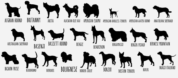 Dog Svg Bundle / Dog Svg Svg Cricut Svg / Dog Quotes Animal - Etsy