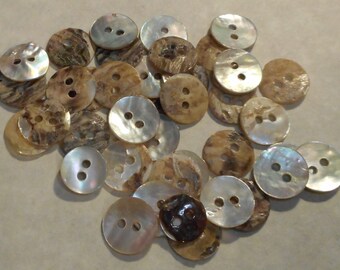 Shell buttons | Etsy
