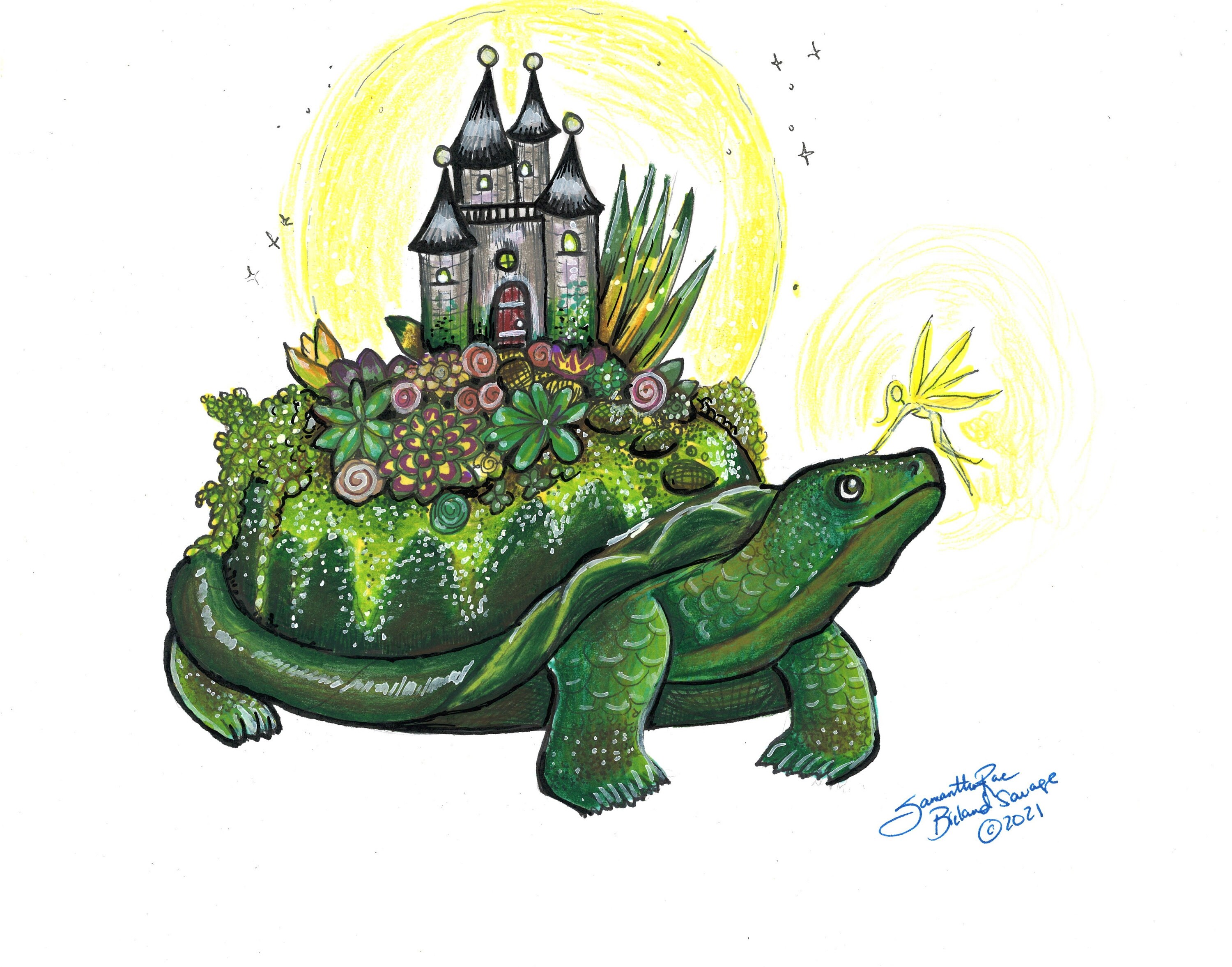 Fairy Tale Turtle - Etsy