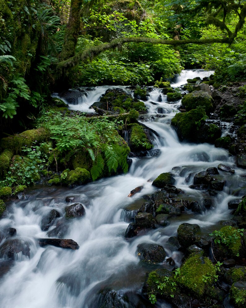 Cascade, Waterfall, Oregon, Waterfall Cascades, Spring, Waterfalls ...