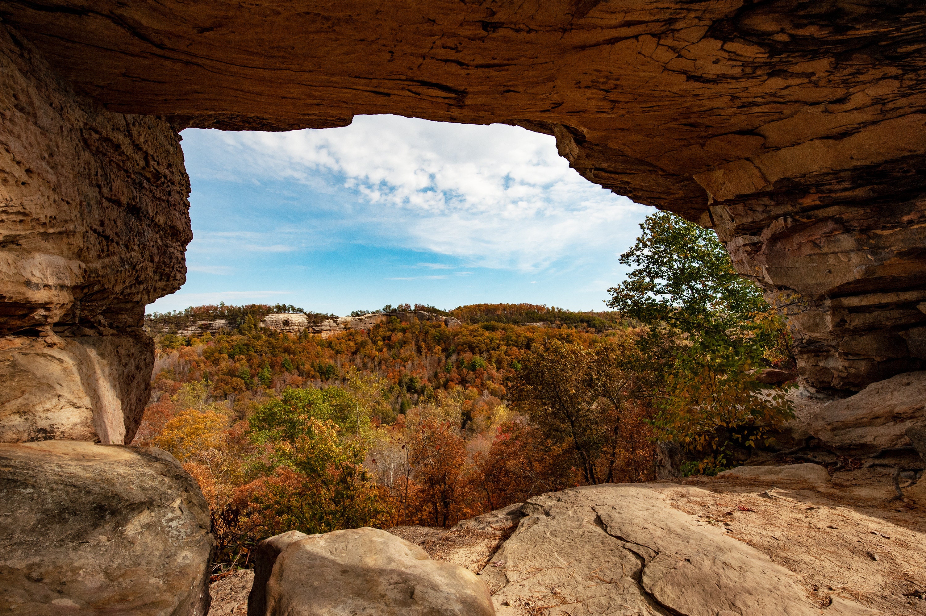 Double Arch, Red River Gorge, Kentucky, Double Arch Print, Double Arch ...