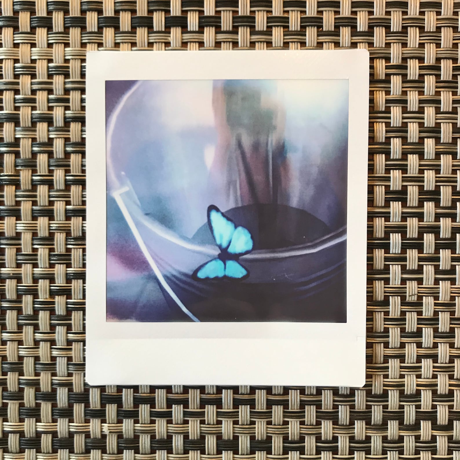 Life is Strange Prop: Max & Blue Butterfly Art Instant Photo | Etsy