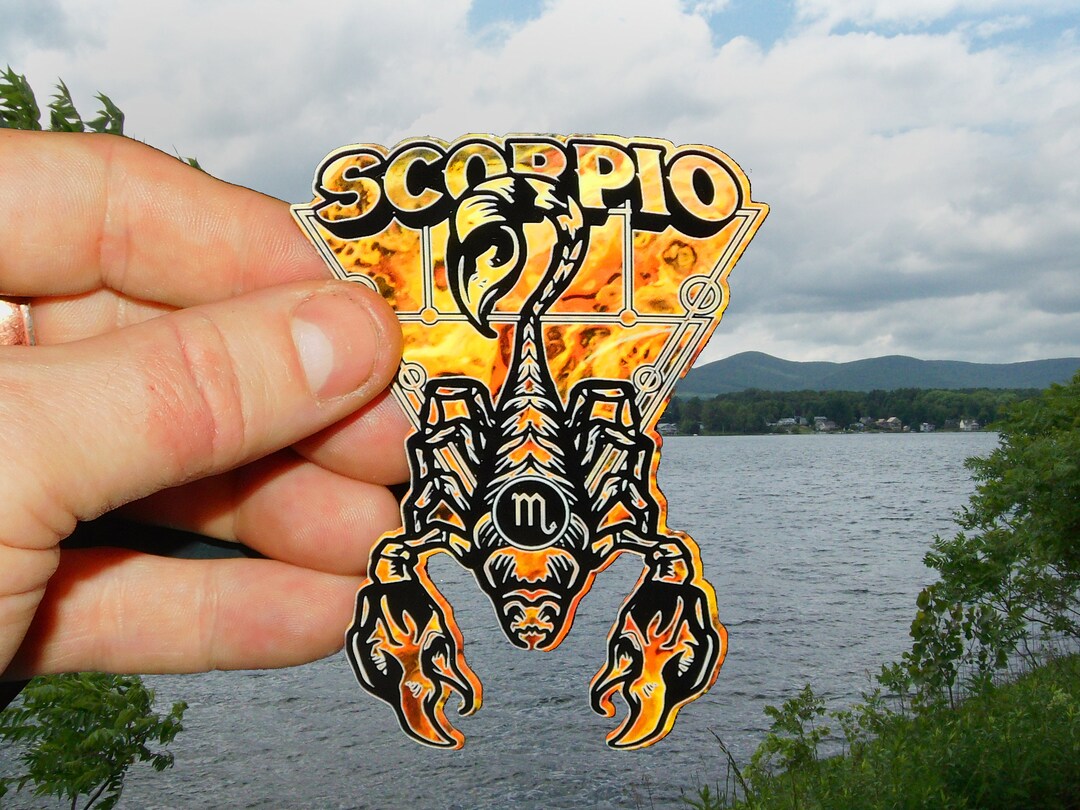 Scorpio Zodiac Art Vinyl Sticker - Etsy