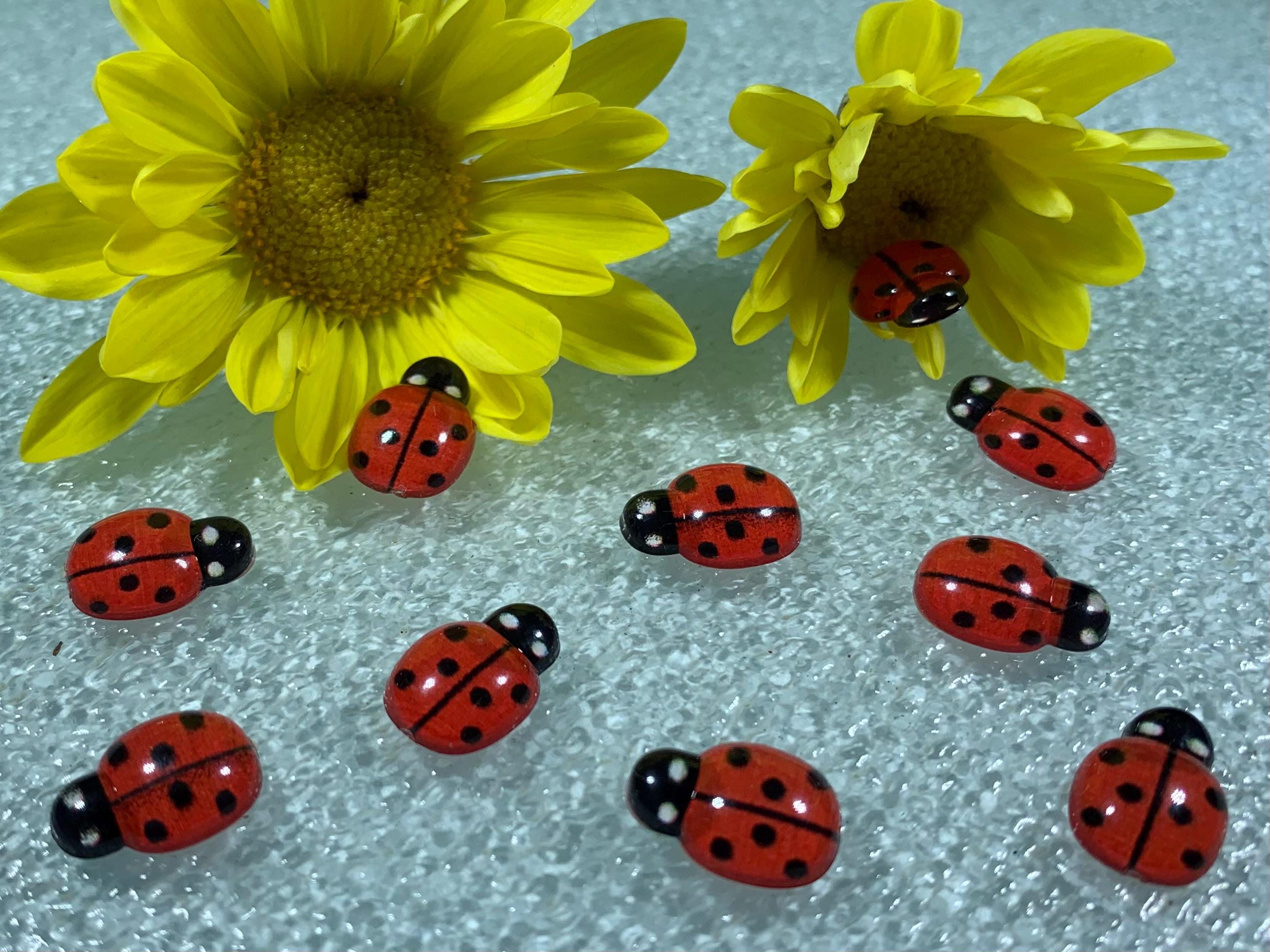 10 Pc Little Ladybugs Bright Red Color Resin - Etsy