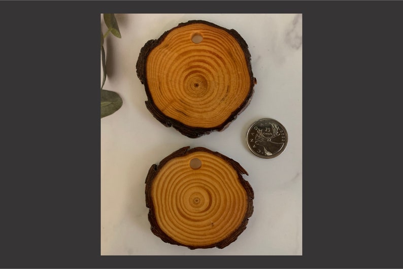 2 Pieces .2 Thick WOOD SLICES Varnished With Hole Natural Live Edge ...