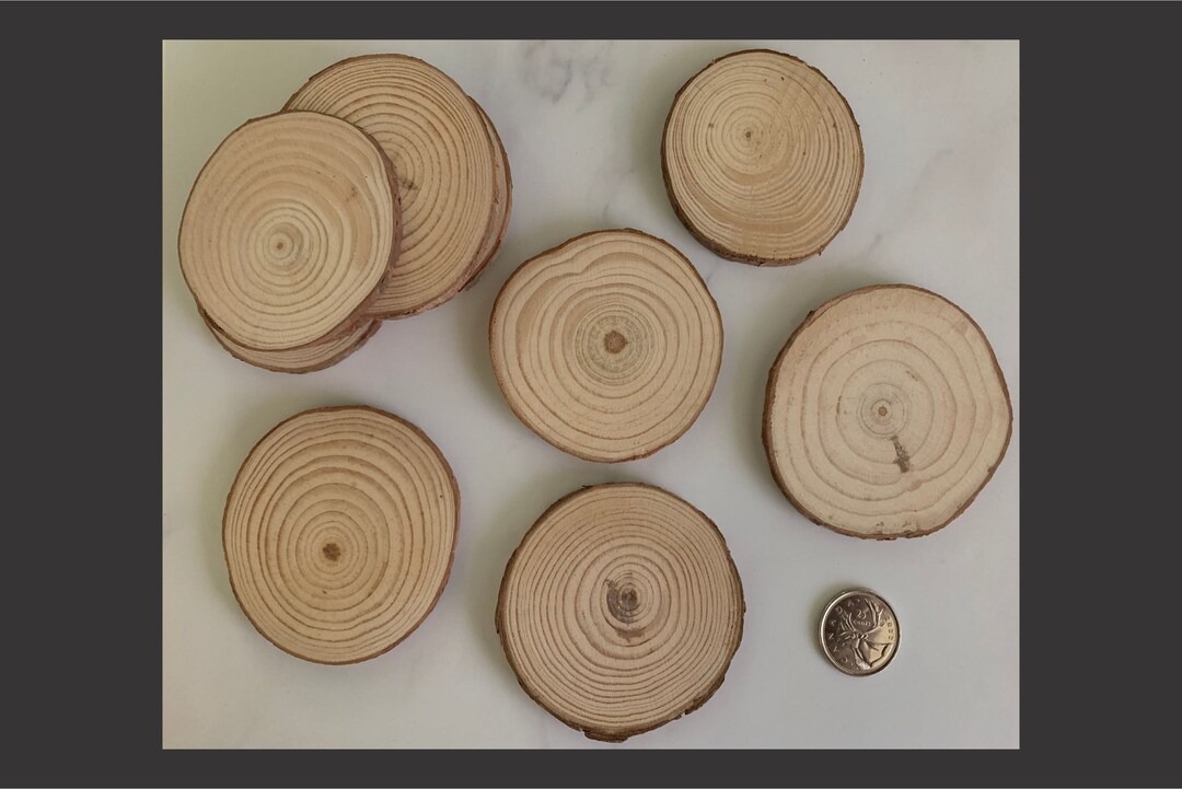 4 Pc .2 Thick WOOD SLICES Without Hole small 2 1/4 or large 2 3/4 Inch ...