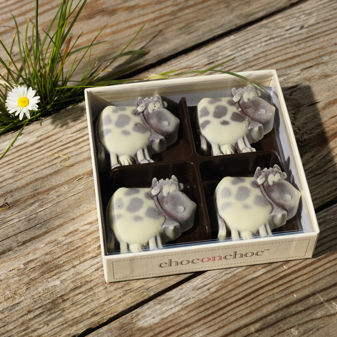 Handmade Belgian Chocolate Cows - Novelty Farmyard Gift - Etsy