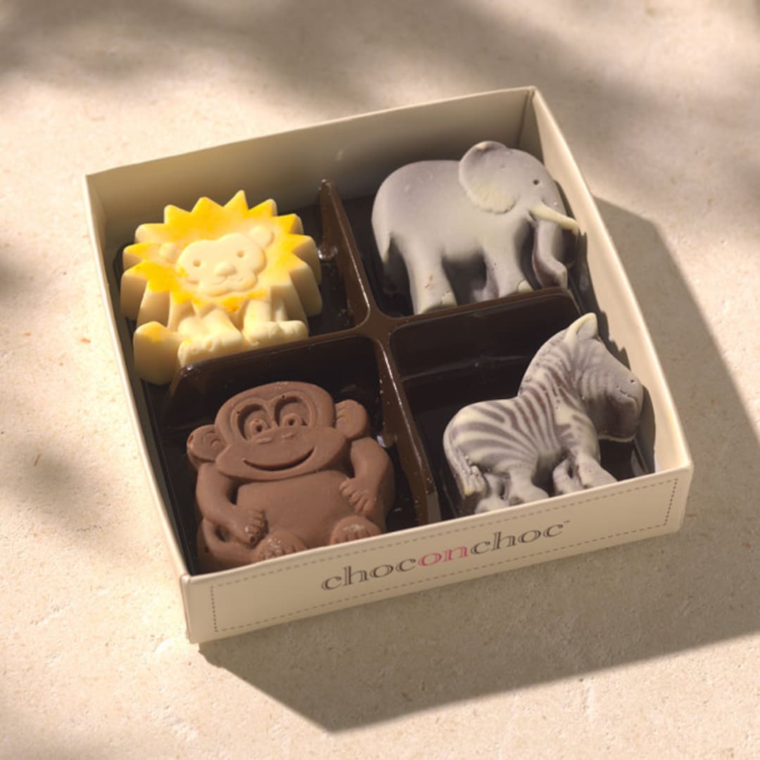 Handmade Belgian Chocolate Zoo Animals: Novelty Gift Box - Etsy UK