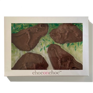 Chocolate Dinosaurs - Childrens Chocolate - T-rex Gift - Dinosaur Gifts ...