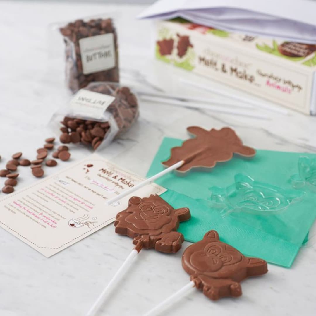 Melt and Make Your Own Chocolate Lollipops - Make Your Own Kits ...