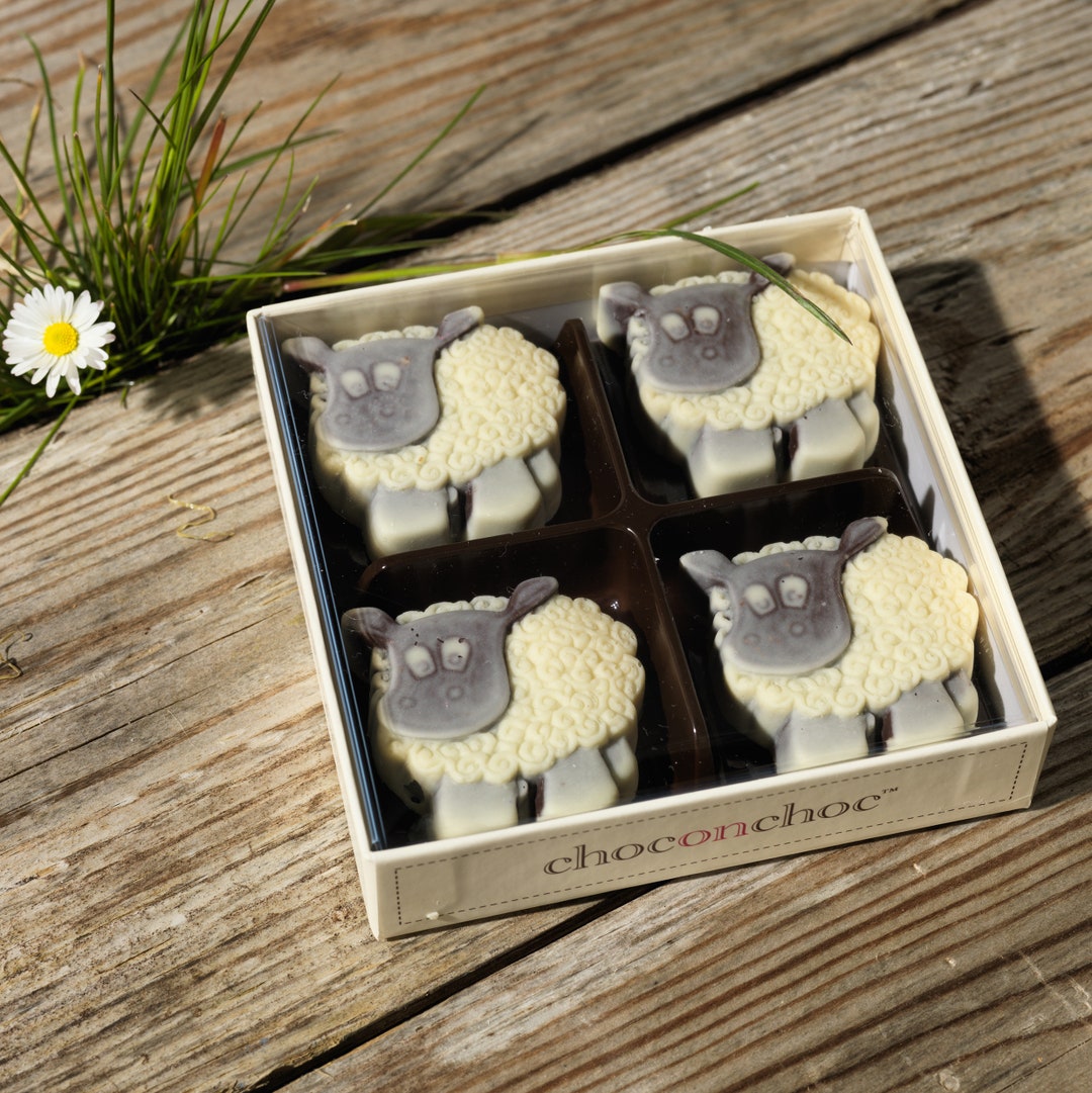 Handmade Belgian Chocolate Sheep: Novelty Animal Gifts - Etsy
