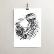 Octopus Pen and Ink Drawing Handmade Original Artwork and Prints - Etsy ...