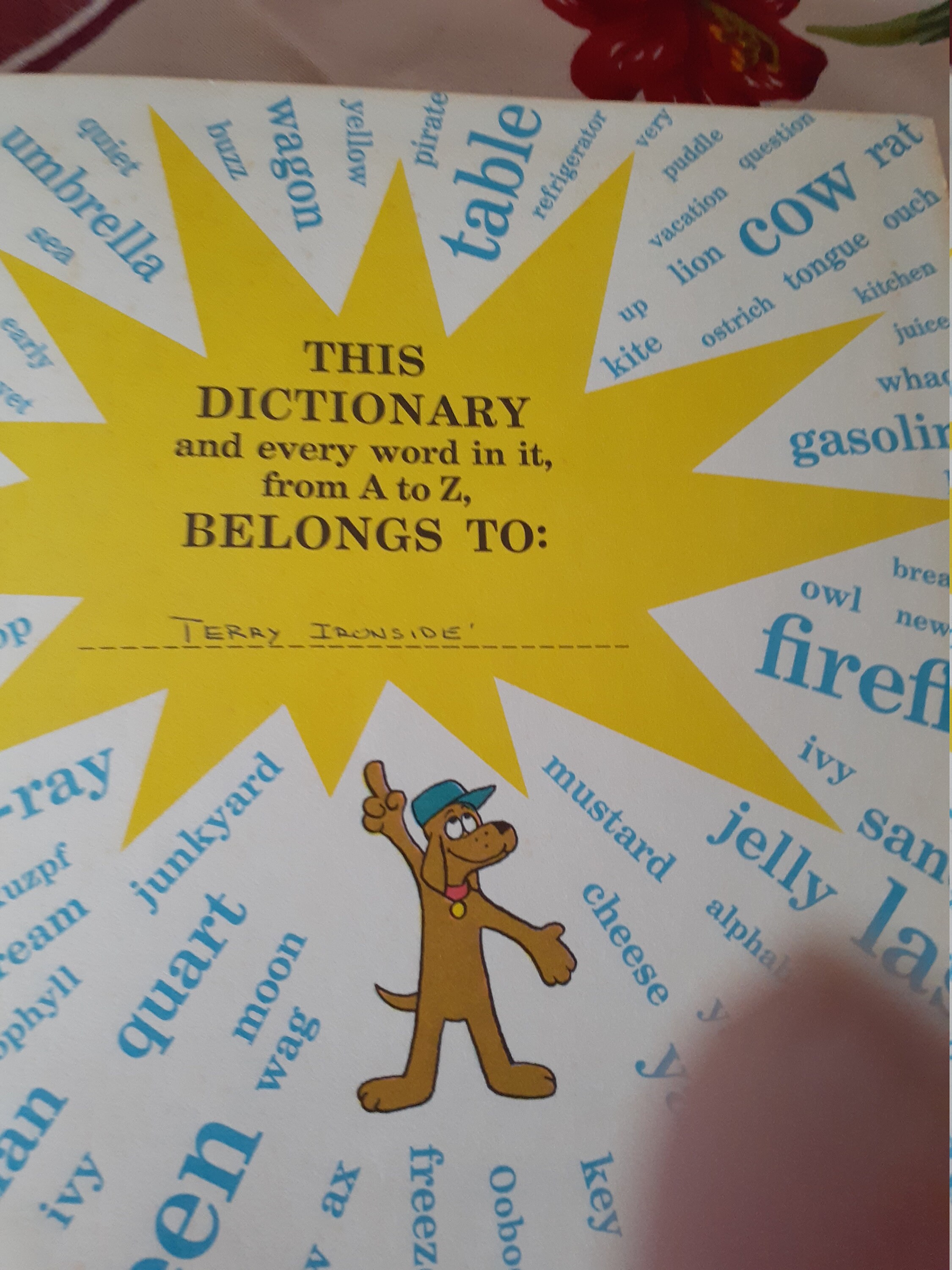 Dictionary, Cat in the Hat by Dr. Seuse - Etsy Canada