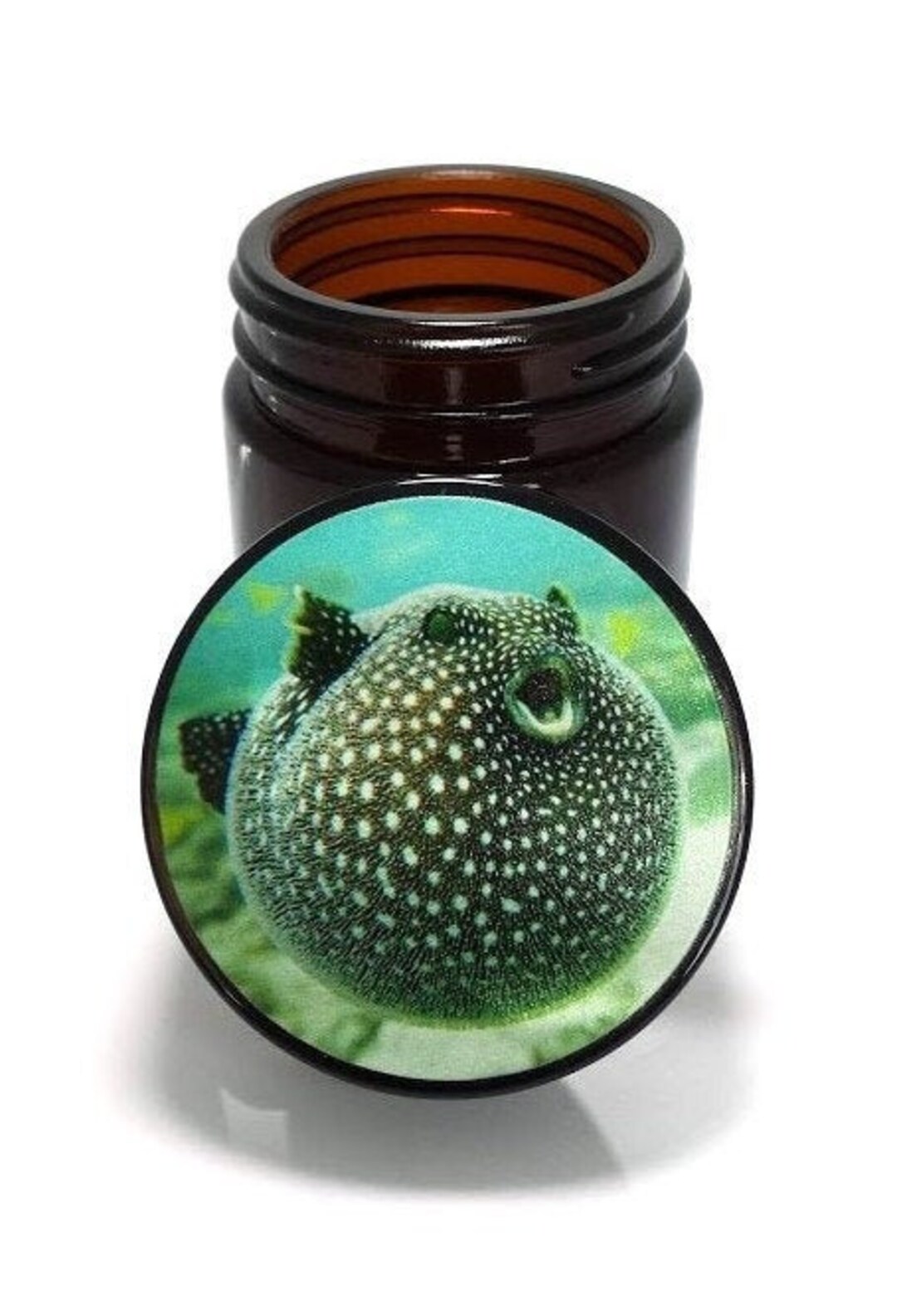 Stash Jar 100g Blowfish Design Glass Storage Container - Etsy
