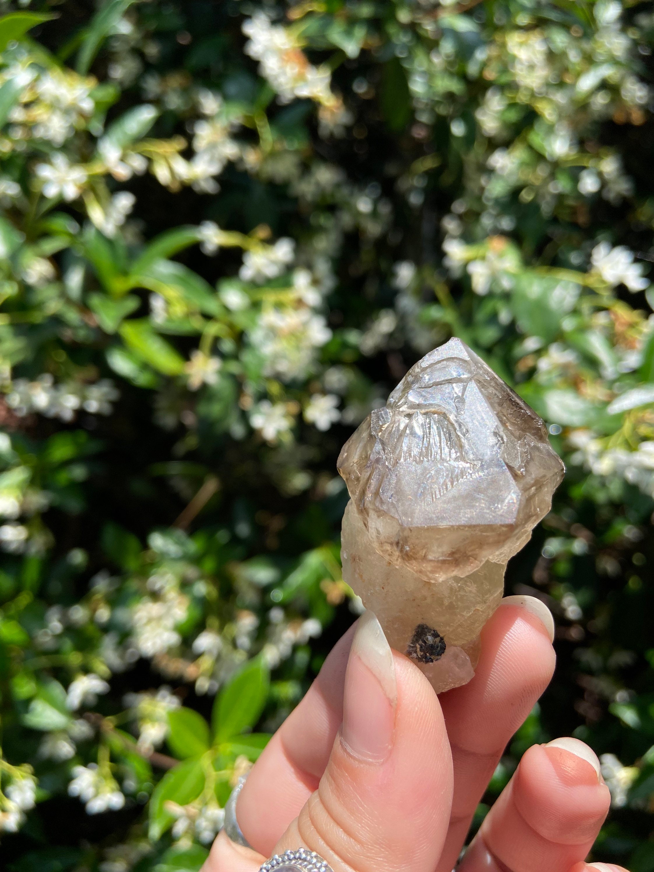 Rare Record Keeper - Elestial Smoky Quartz Scepter - Etsy