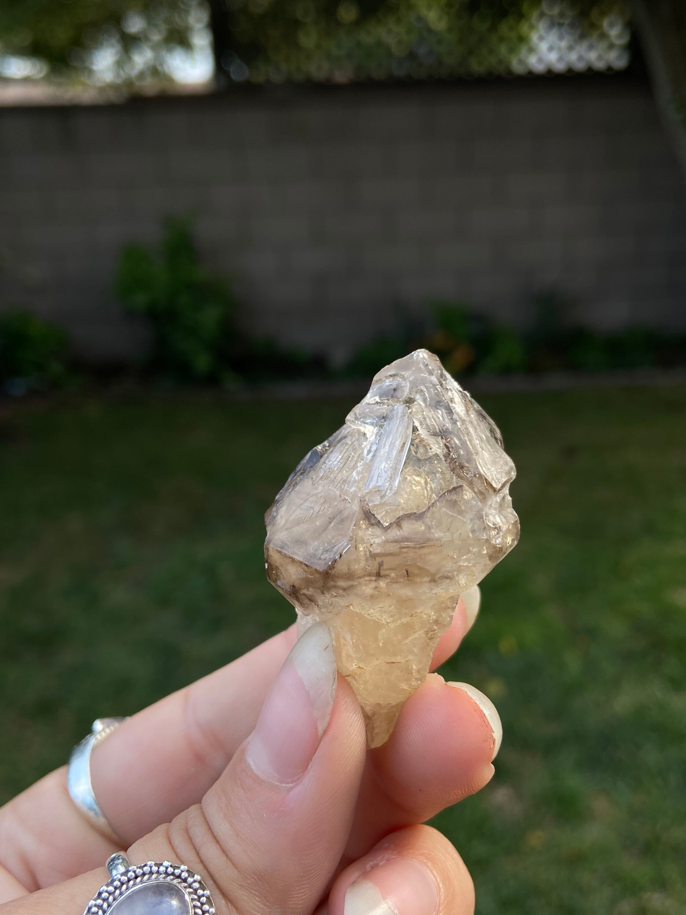 Rare Record Keeper - Elestial Smoky Quartz Scepter - Etsy