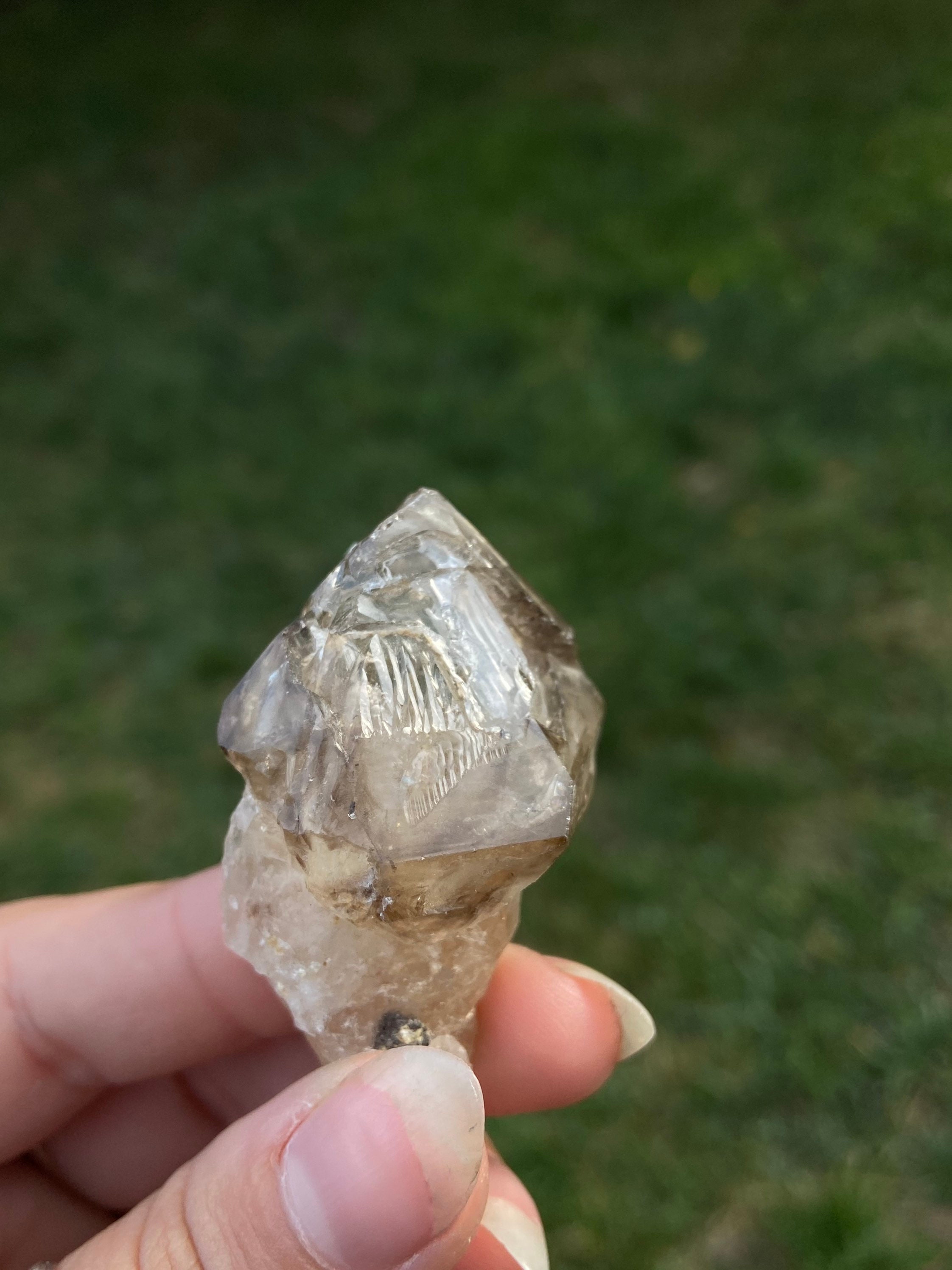 Rare Record Keeper - Elestial Smoky Quartz Scepter - Etsy