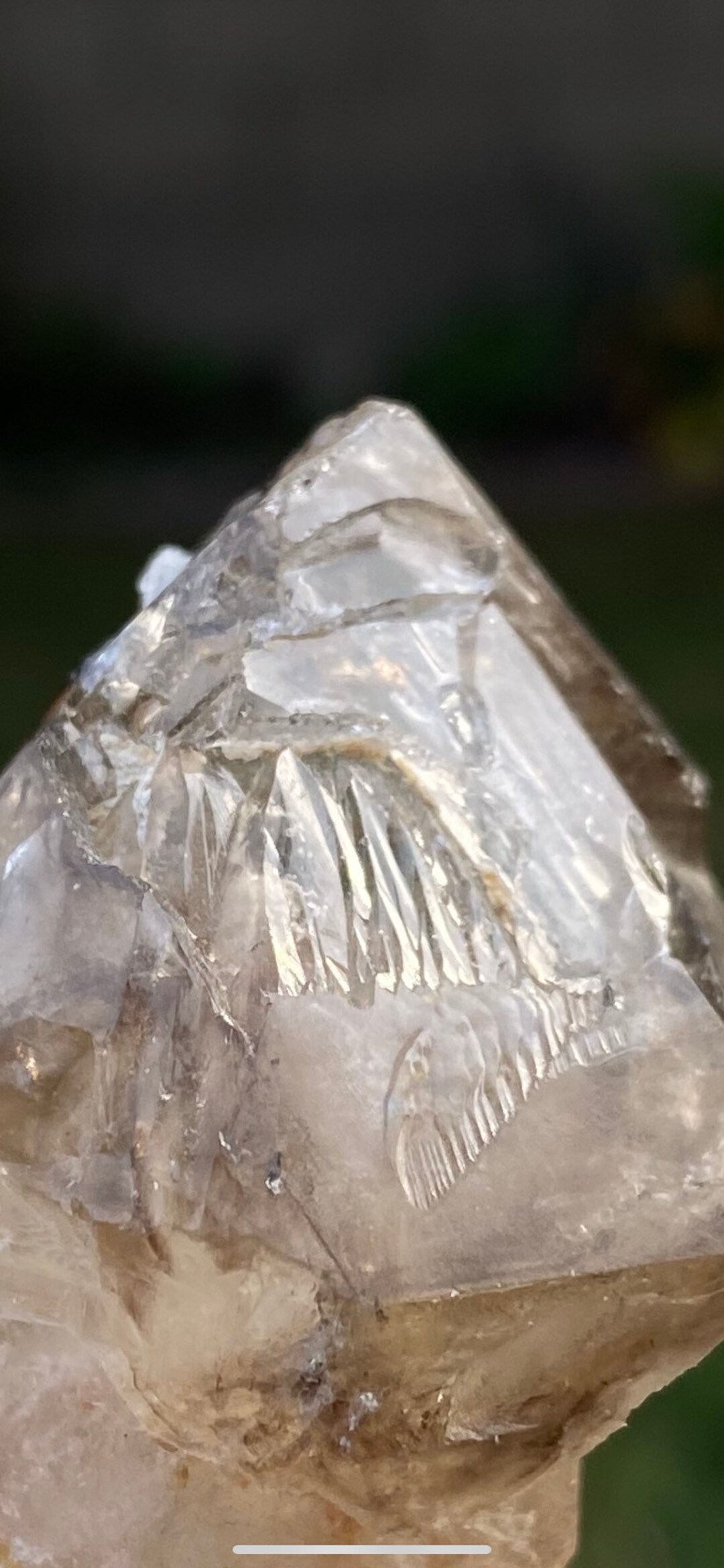 Rare Record Keeper - Elestial Smoky Quartz Scepter - Etsy