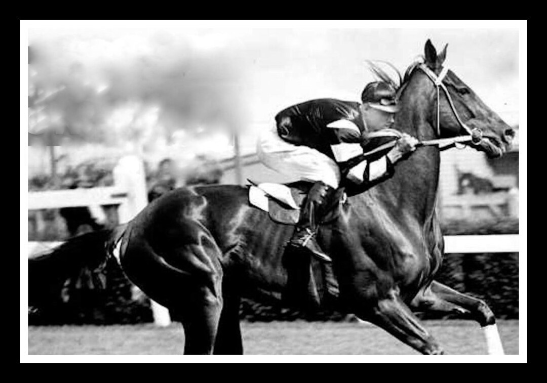Dead Jockey Wins Race Frank Hayes 11x14 Matted 8x12 Photo Died During ...