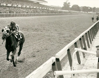 Secretariat Blanket - Etsy