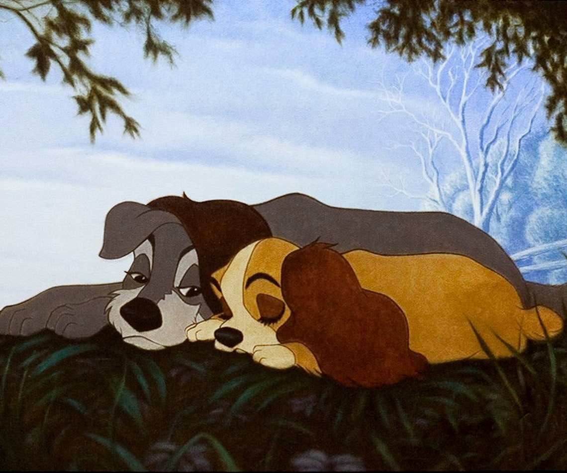 Blanket Lady and the Tramp Romantic Sleeping Relaxing 50x60 - Etsy