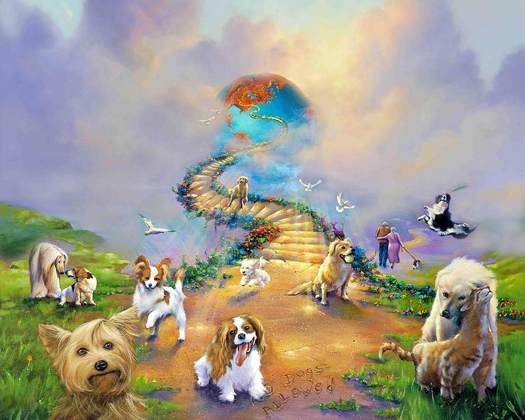 Pastel Rainbow Bridge All Dogs Go to Heaven Border Collie Poodle ...