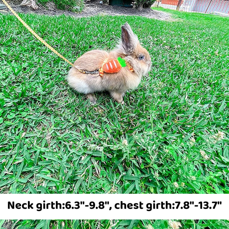 Rabbit Harness and Leash Adjustable Carrot Pattern Cute Bunny Harness ...