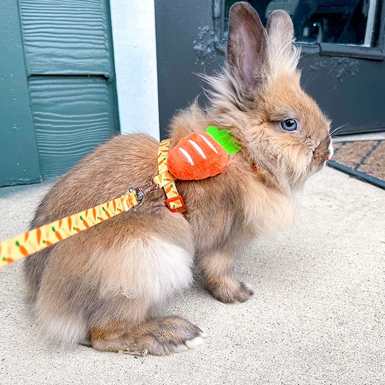 Rabbit Harness and Leash Adjustable Carrot Pattern Cute Bunny Harness ...