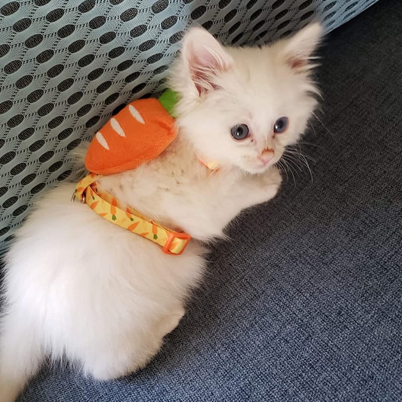 Rabbit Harness and Leash Adjustable Carrot Pattern Cute Bunny Harness ...